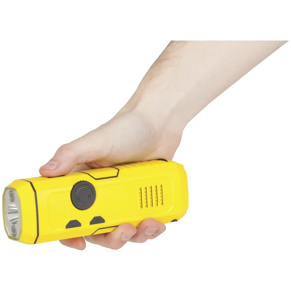 Techlight 4 in 1 Dynamo Radio (FM/AM) Torch Hand Crank Emergency ...