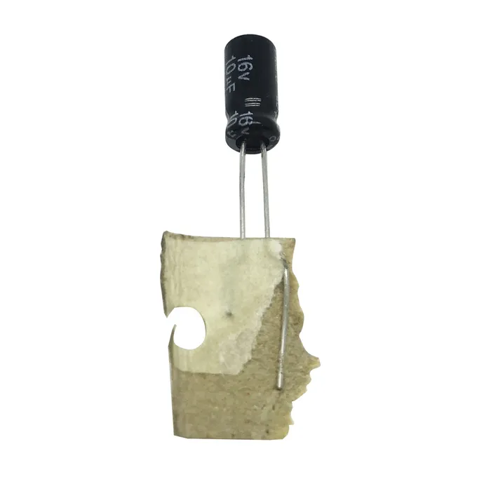 10uF 16VDC Electrolytic RB Capacitor | Jaycar Australia